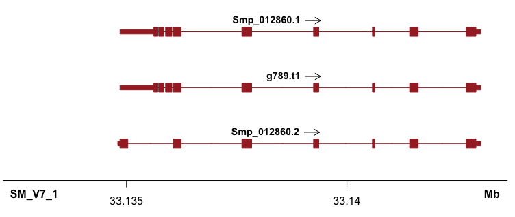 Batch visualisation of gene structures