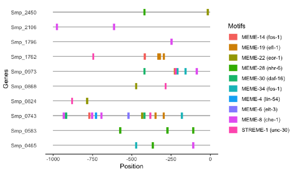 Visualising gene features using ggplot2