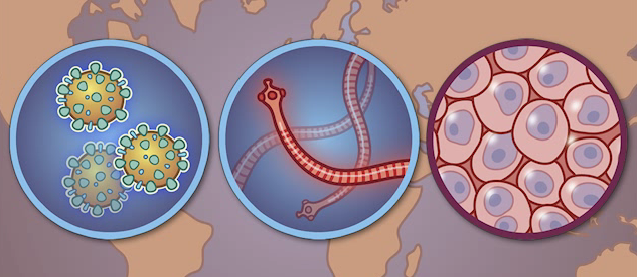 Parasite-derived cancer