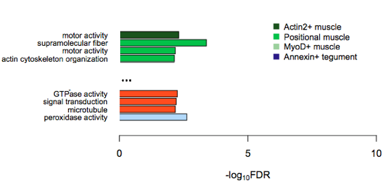 Define plot colors from a file column in R