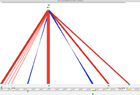 Sequencing comparison using ACT