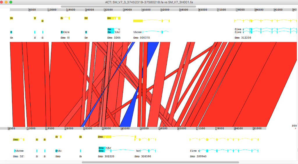 Sequencing comparison using ACT